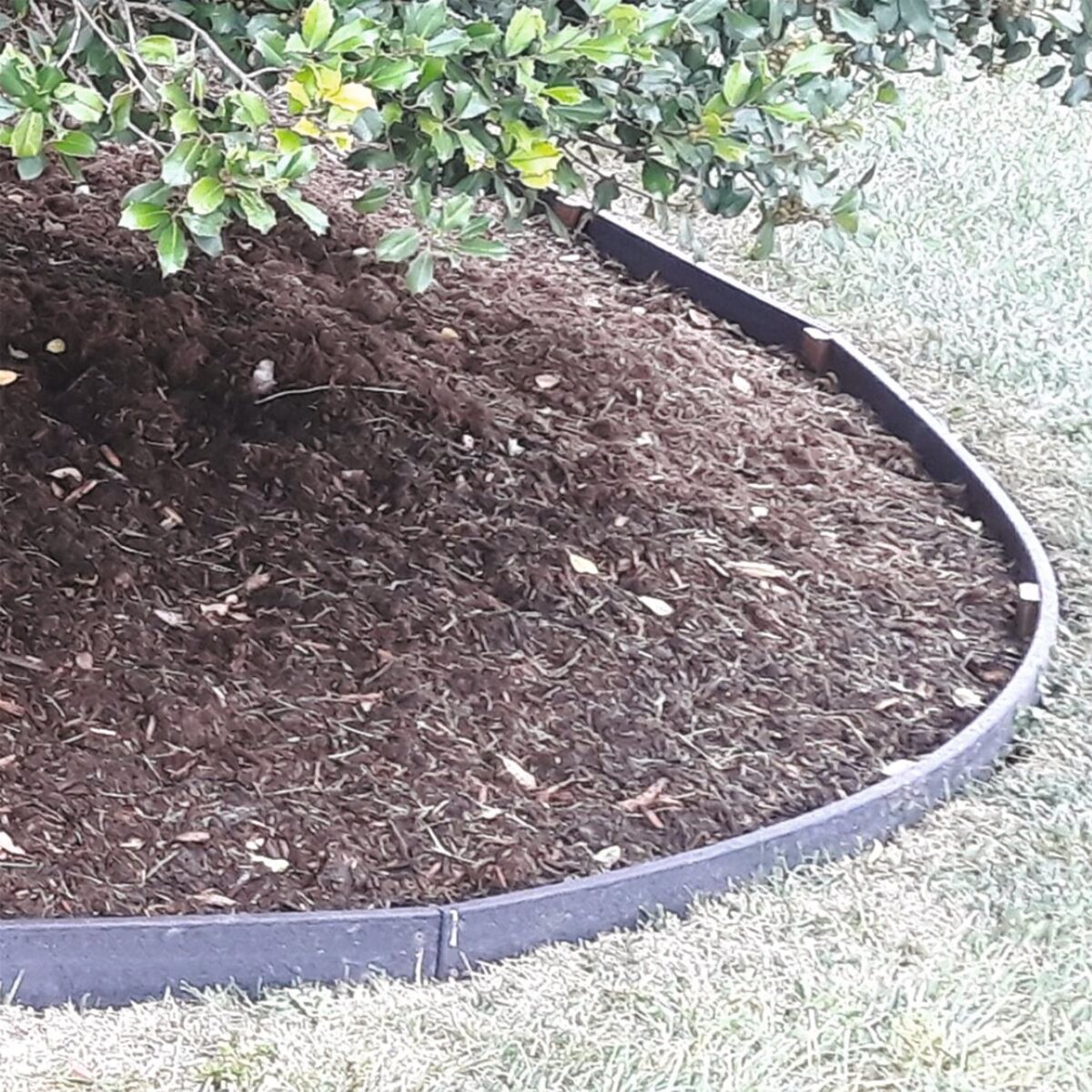 BestPLUS G-Grade Turf Nailer/Landscape Edging Black 1 in. x 4 in. x 20 ...