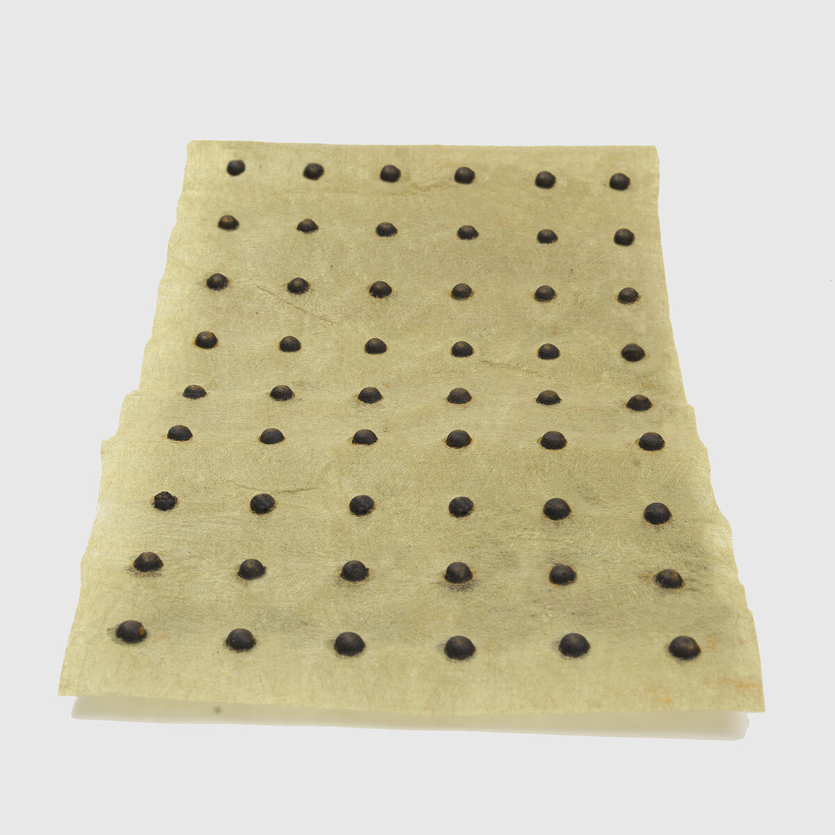 BioBarrier Root & Weed Control Barrier 39 in. X 102 ft | SiteOne US