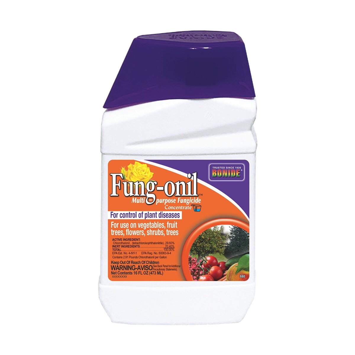 Bonide Fung-Onil Fungicide 1 pt | SiteOne US