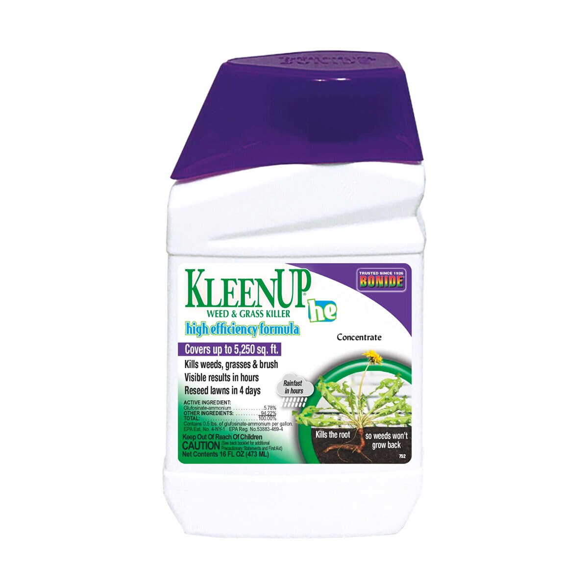 Bonide KleenUp High Efficiency Weed & Grass Killer Concentrate 16 oz ...