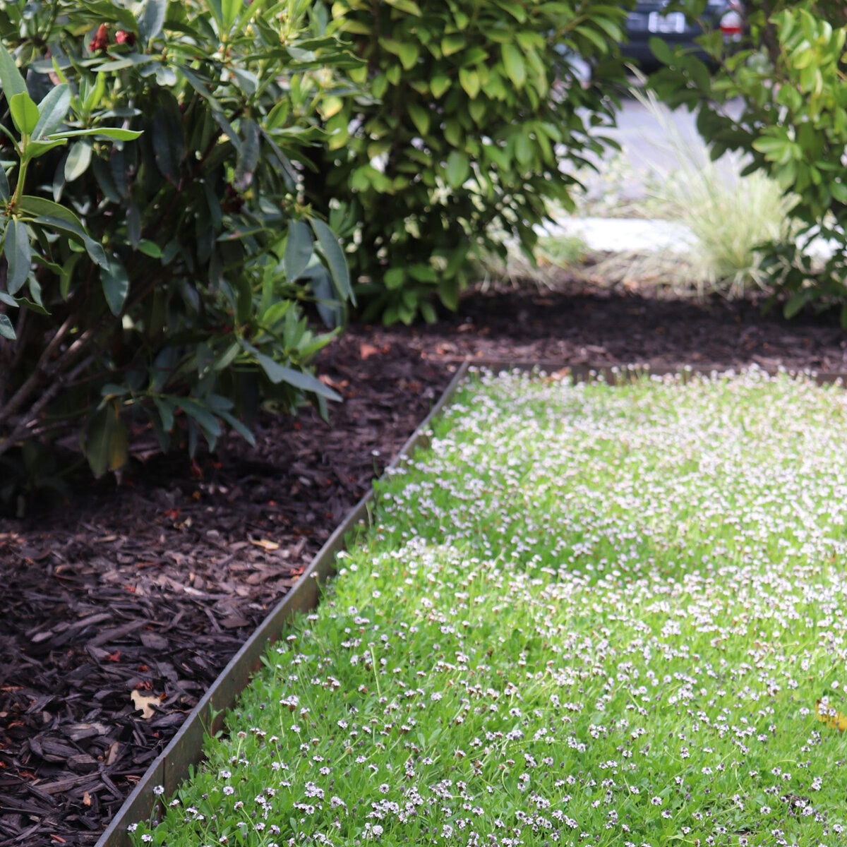 Border Concepts Border Line Landscape Edging Black Steel 1/8 in. x 4 in ...