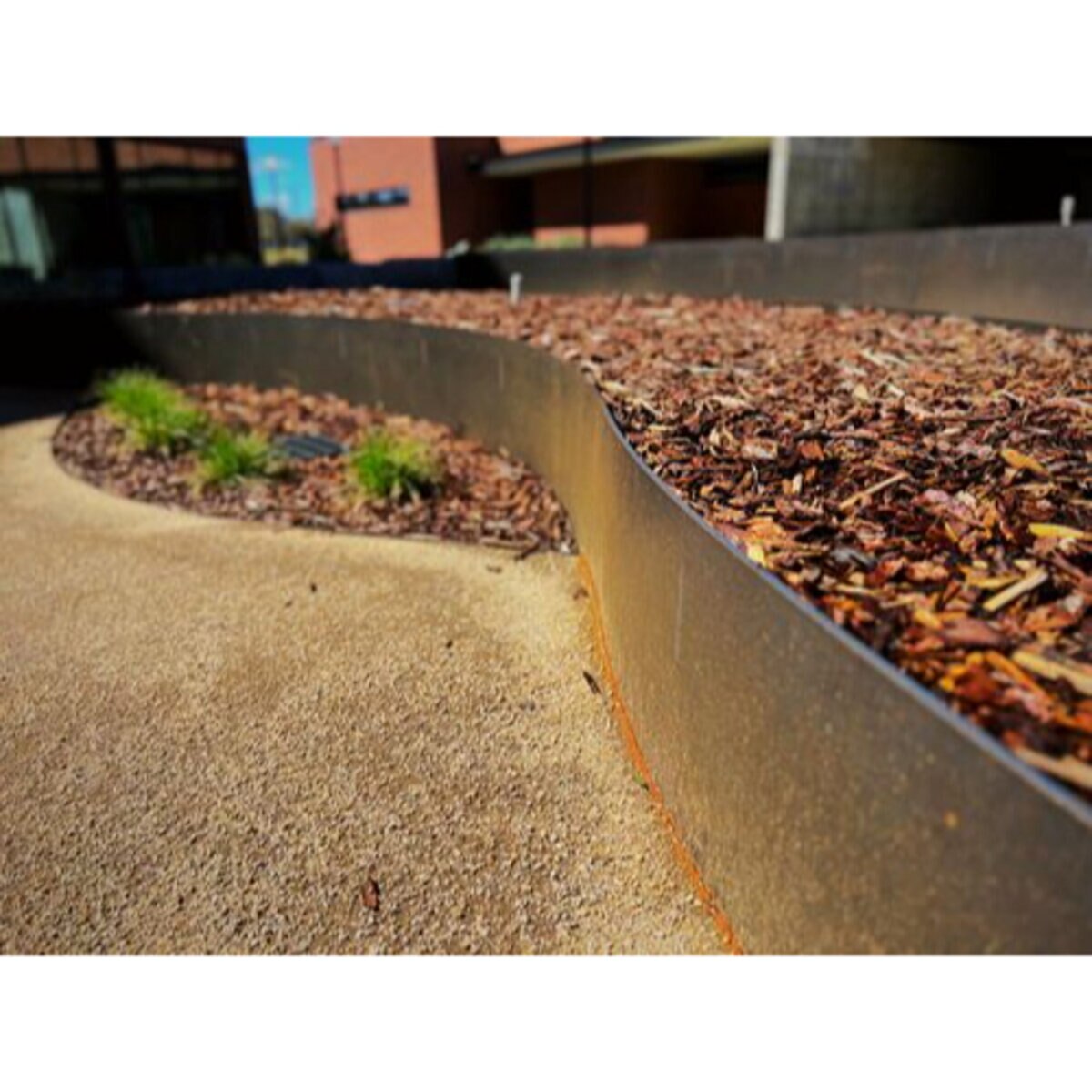 Border Concepts Border King Steel Landscape Edging Black 1/4 in. x 6 in ...