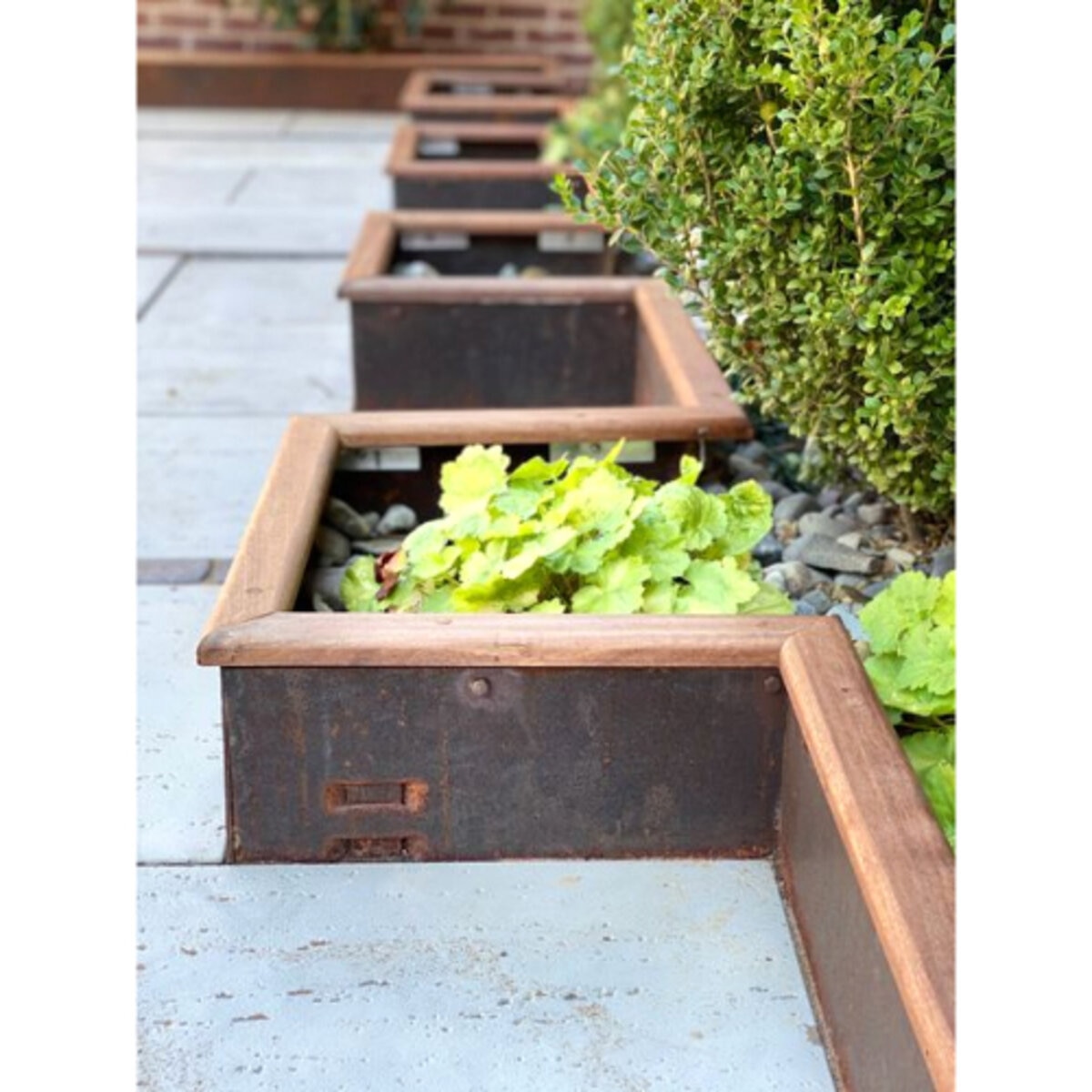 Border Concepts BORCON King Weathering Steel Landscape Edging 1/4 in. x ...