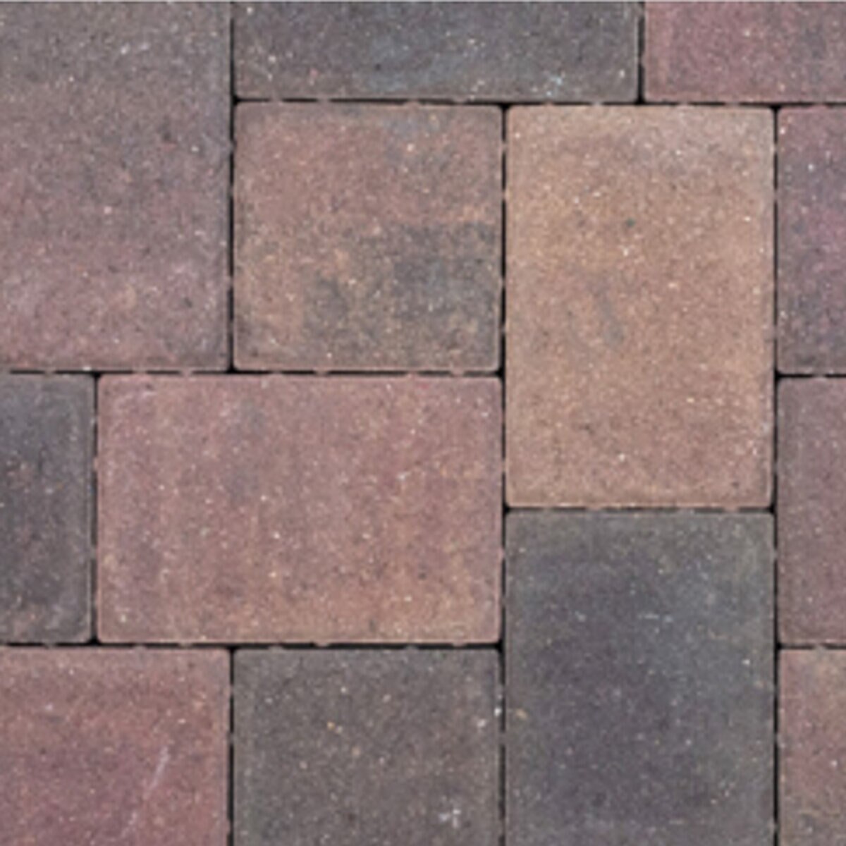 Basalite Borgert Cobble Paver Large Square Autumn Blend 9 in. x 9 in ...