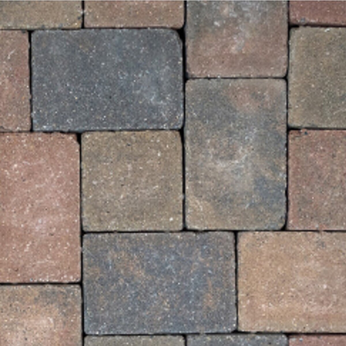Basalite Borgert Cracovia Paver Half Square Grand Canyon 3 in. x 6 in ...