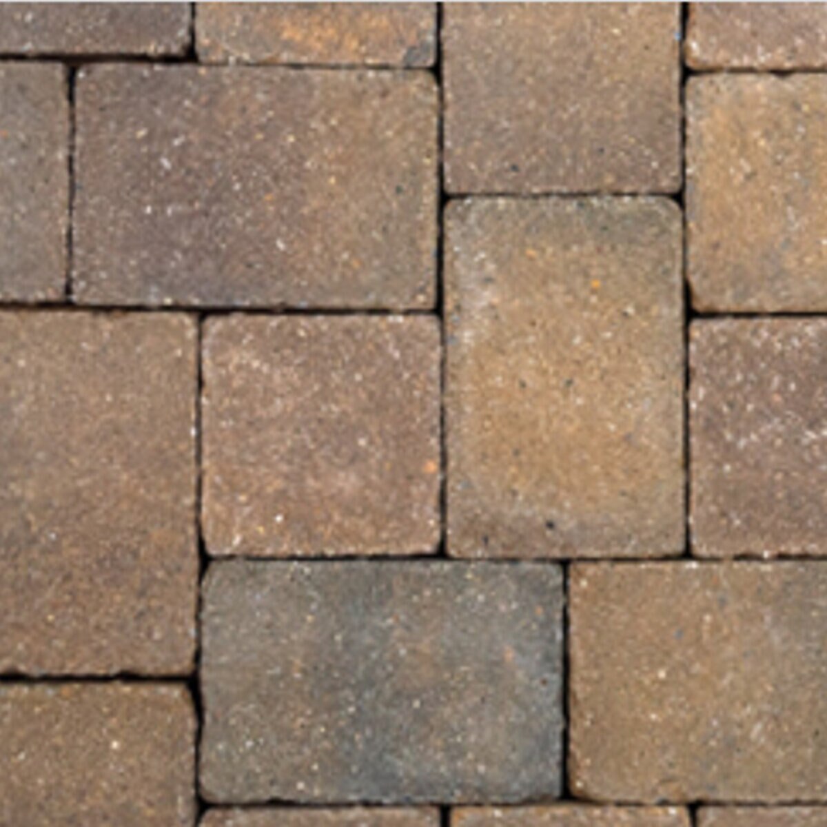 Basalite Borgert Cracovia Paver Half Square Minnesota River 3 in. x 6 ...