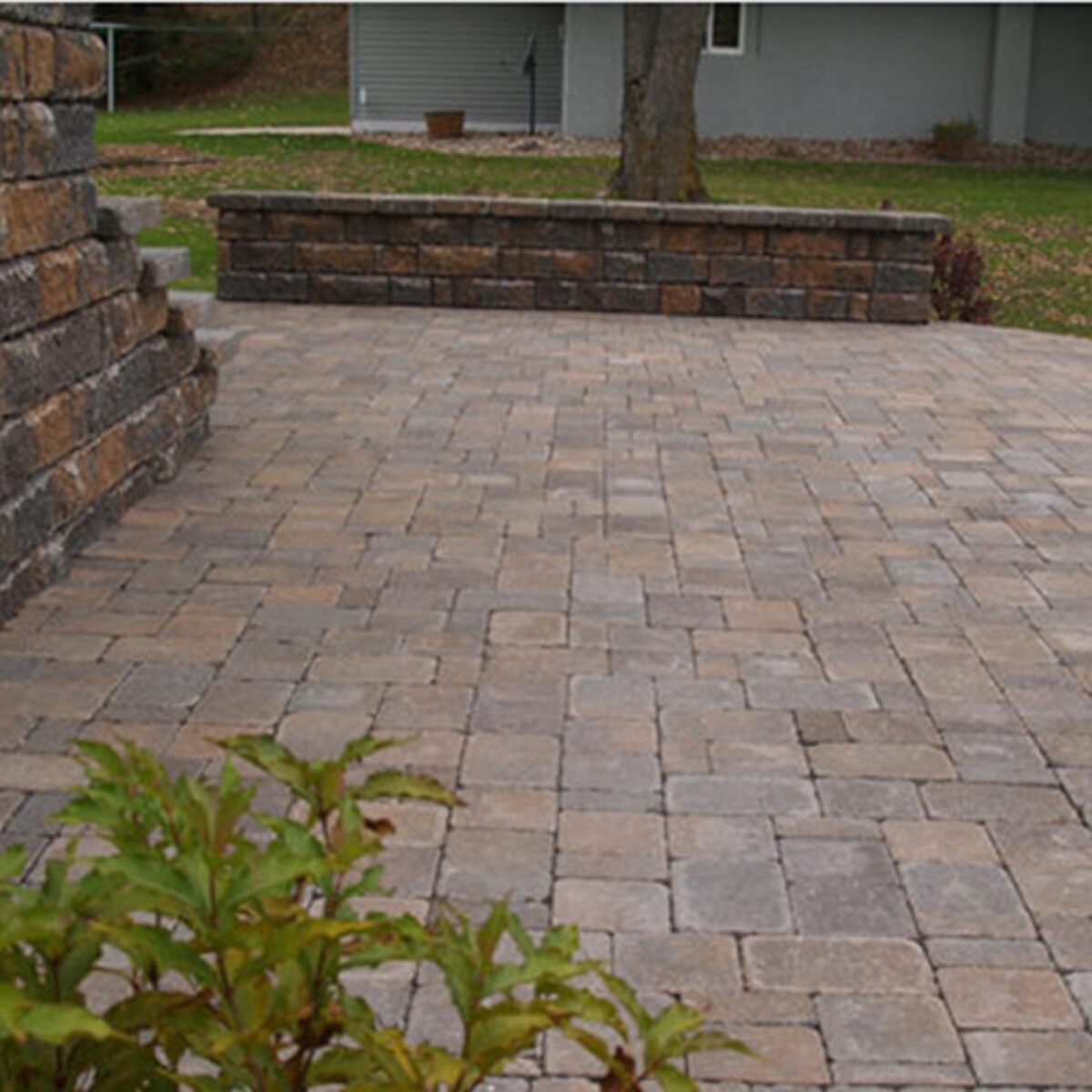 Borgert Cracovia Paver Half Square Minnesota River 3 in. x 6 in. 60 mm (56.8 sq. ft./pallet ...