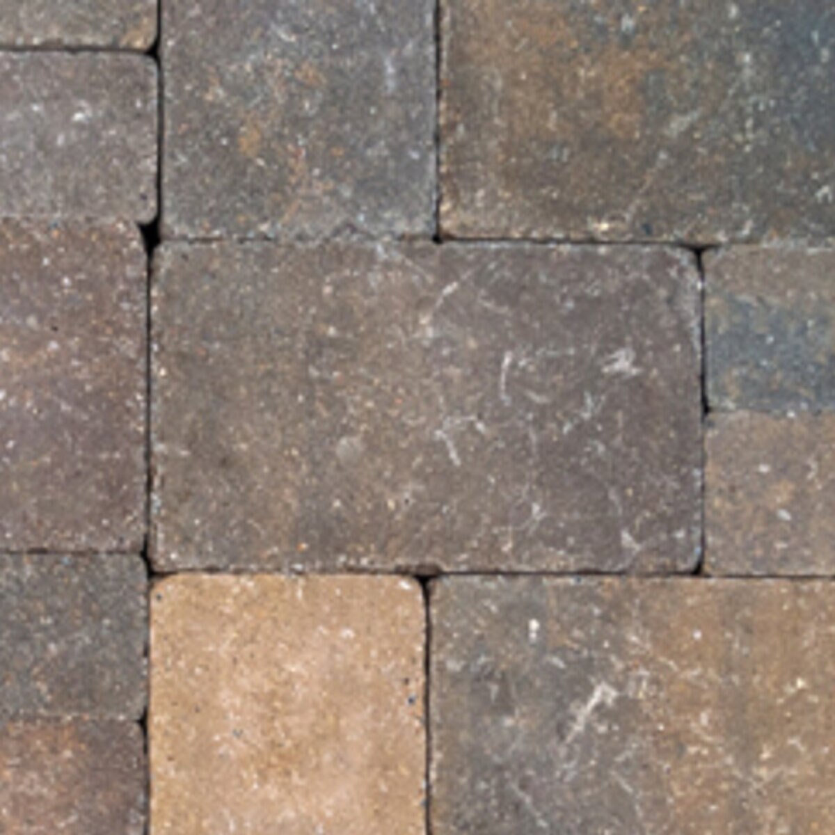 Basalite Borgert Classic Paver Rectangle Minnesota River 4 in. x 6 in ...