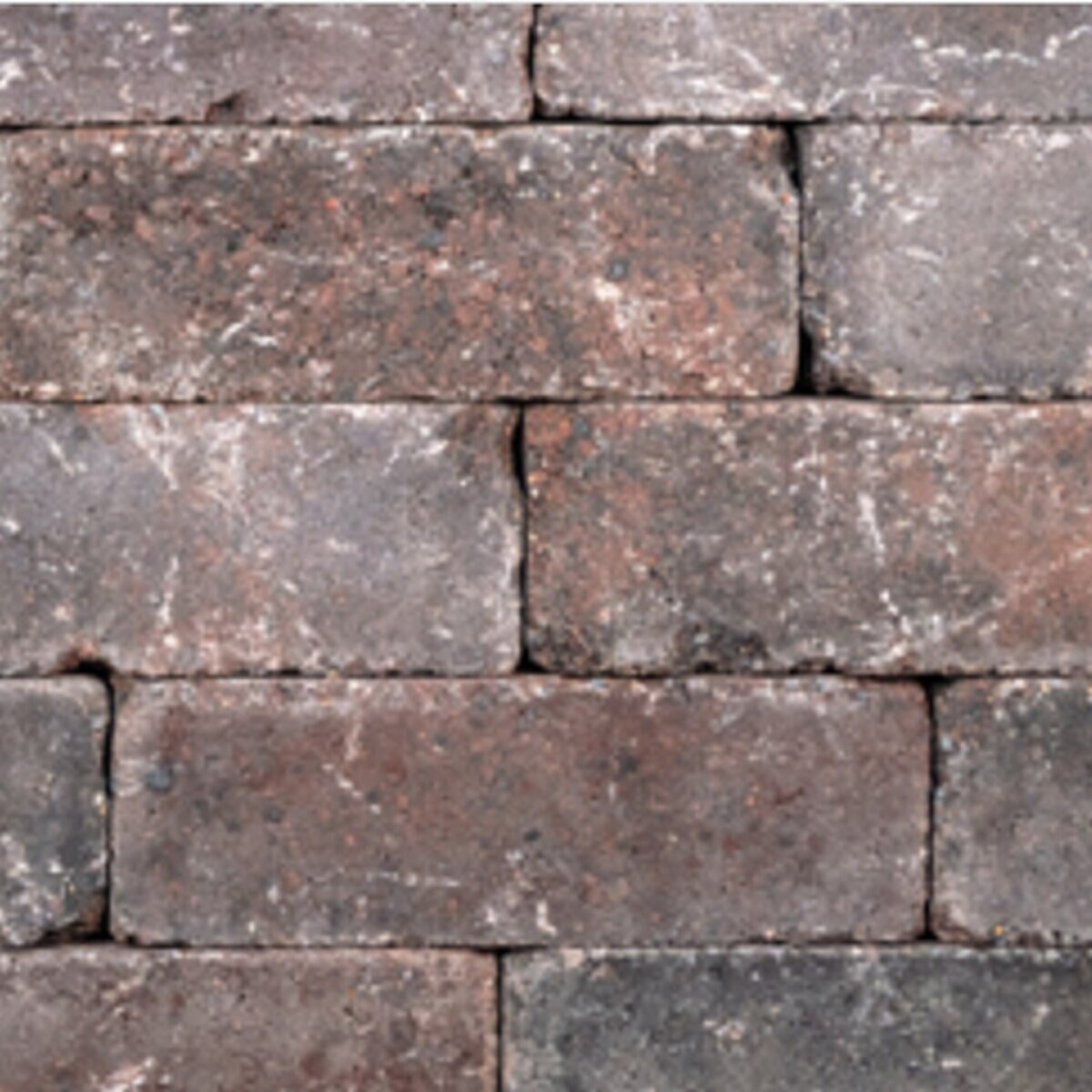 Basalite Borgert Strassen Retaining Wall A Block North Shore 8 in. x 12 ...