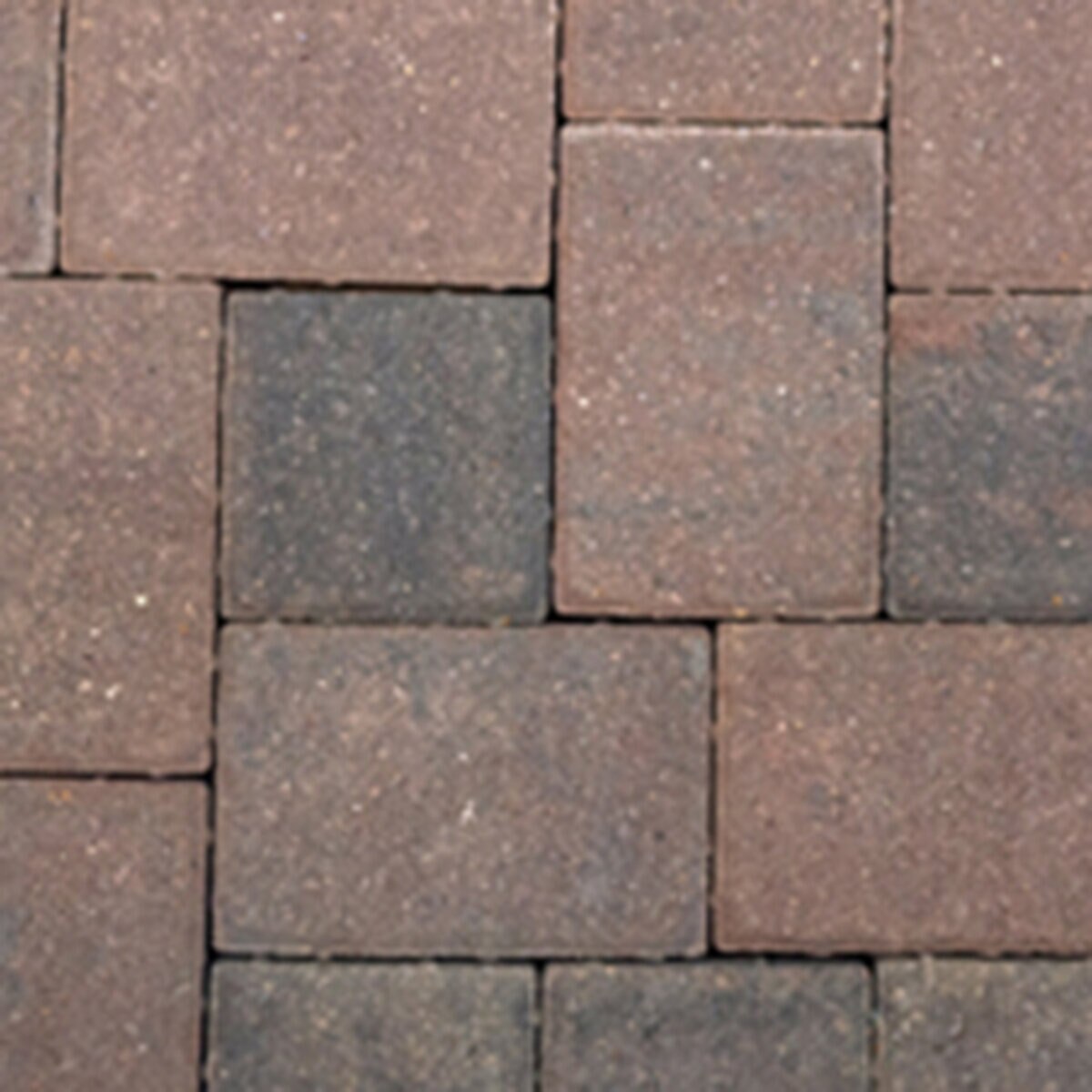 Basalite Borgert Cracovia Three Quarter Paver North Shore 4 in. x 6 in ...