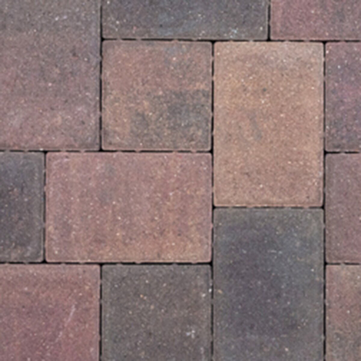 Borgert Cobble Paver Large Circle Autumn Blend (54 sq. ft./pallet ...