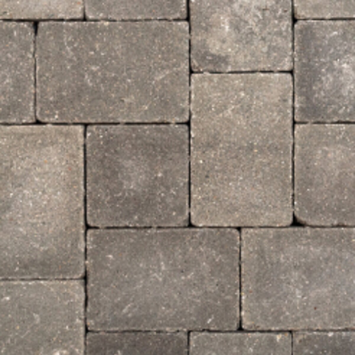 Borgert Cracovia Large Circle Paver Sterling Gray (54 sq. ft./pallet ...