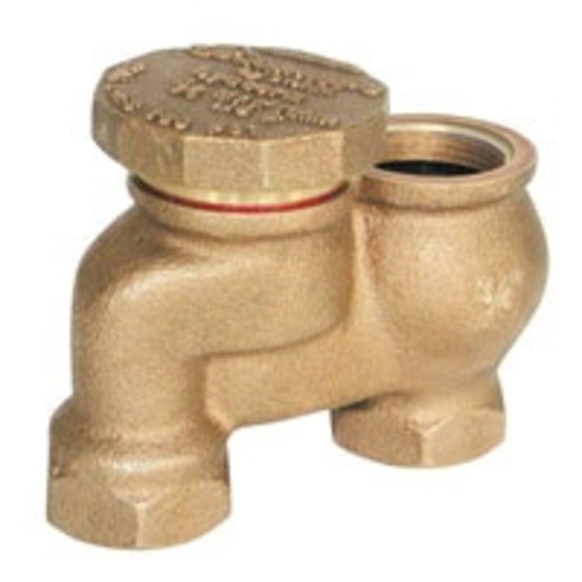 Buckner Anti-Siphon Valve Body Yellow Brass 3/4 in. FIPT | SiteOne US