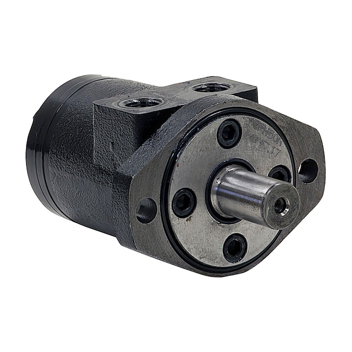 Buyers Products Hydraulic Motor With 2-Bolt Mount/NPT Threads And 2.8 ...