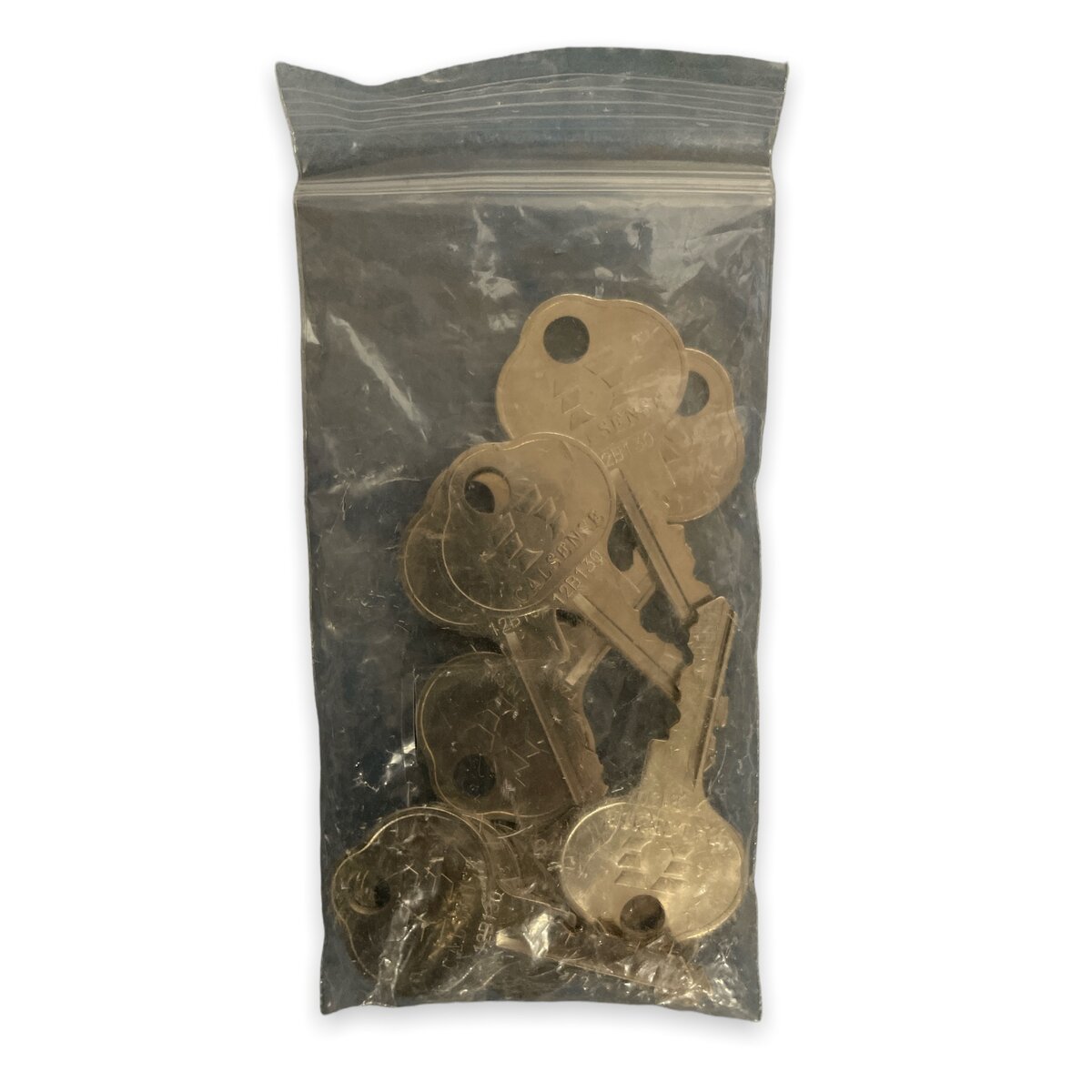 Calsense Enclosure Key Set (Set of 10) | SiteOne US