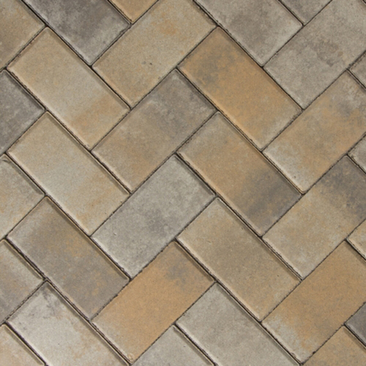 Calstone Mission Paver Gray/Charcoal/Tan 6 in. x 12 in. | SiteOne