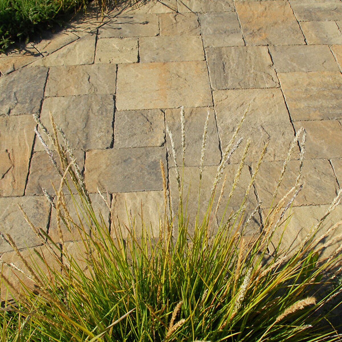 Calstone Quarry Stone Paver Rustic Yellowstone 9 in. x 12 in. (105 sq ...