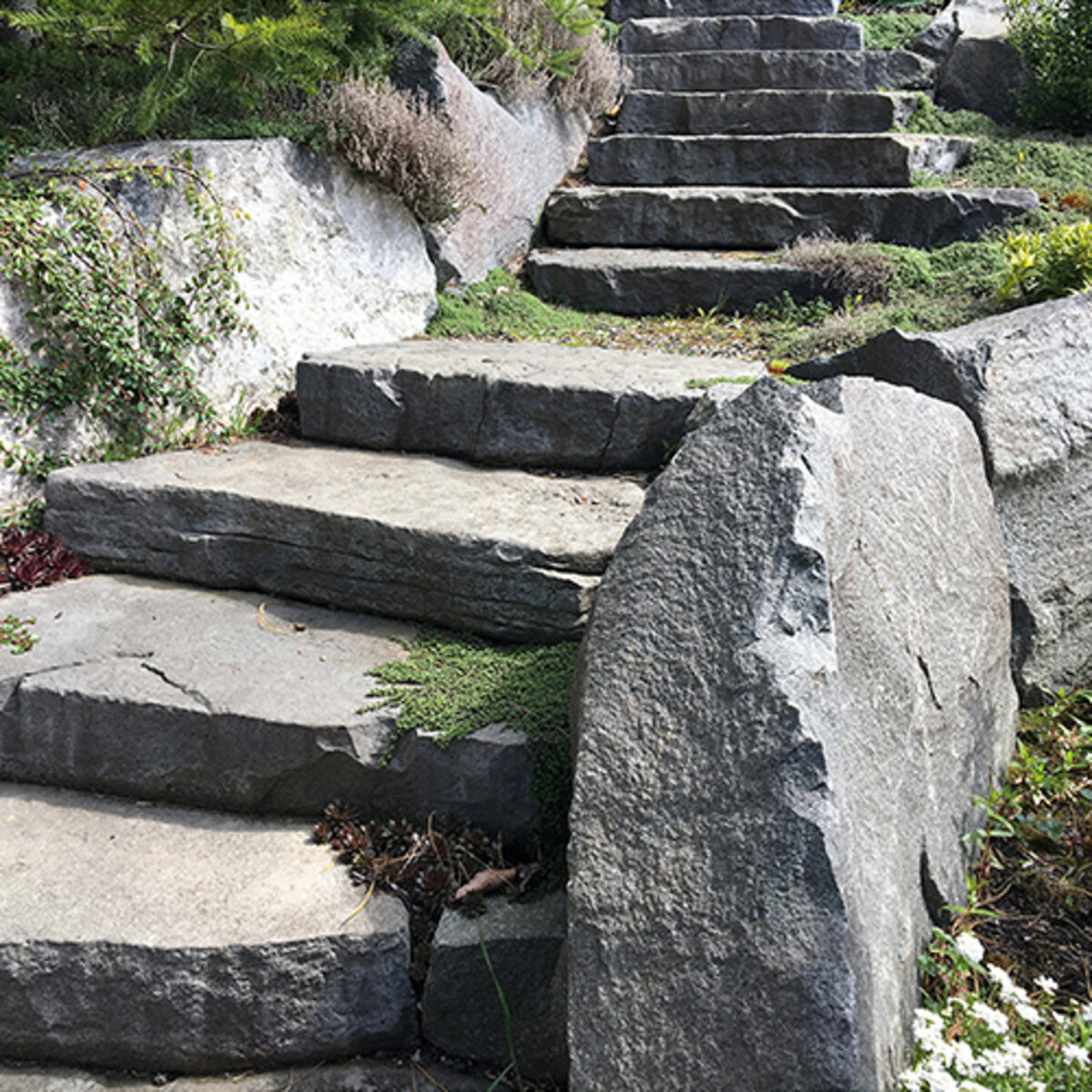 Castohn Standard Irregular Step Silver Legacy 7 in. Rise with Various shapes & sizes (6 pc ...