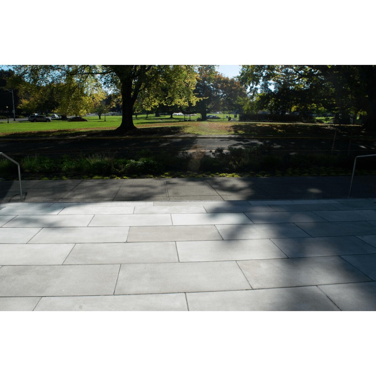 Castohn Olympic Paver Natural Gray 36 in. x 36 in. (8 pc./pallet ...