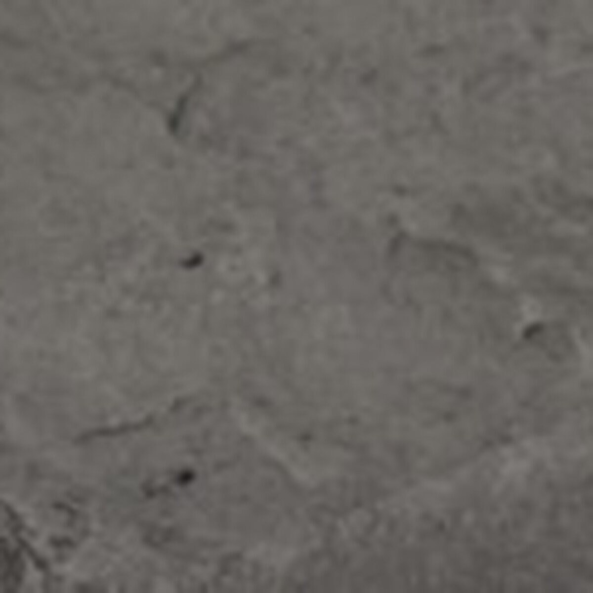 Castohn Flat Wall Cap Smooth Tex. w/ Chamfered Edge (2) | SiteOne