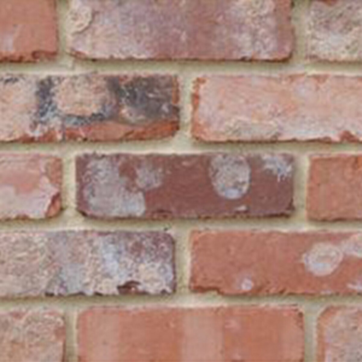 Cedar Creek Modular Thin Brick St James Flats 7-5/8 in. x 2-1/4 in. (4 ...