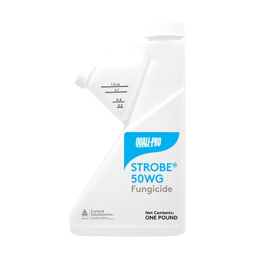 Quali-Pro Strobe 50WG Fungicide Tip & Pour 1 lb. | SiteOne