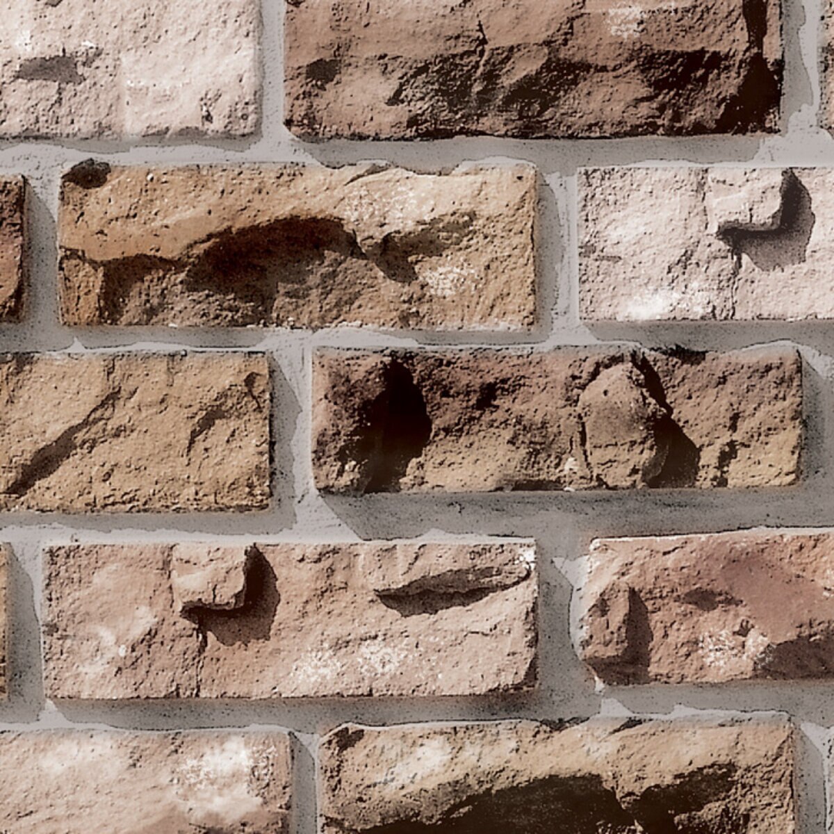 Coronado Stone Sculptured Brick Eagle Buff Flats 2.5 in. x 8 in. (10.5 ...