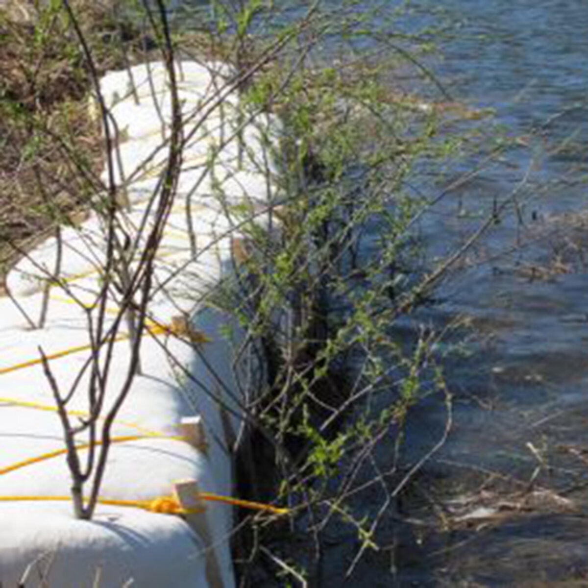 American Excelsior Curlex Bloc HD 18 in. x 16 in. x 8 ft. (9/pallet ...