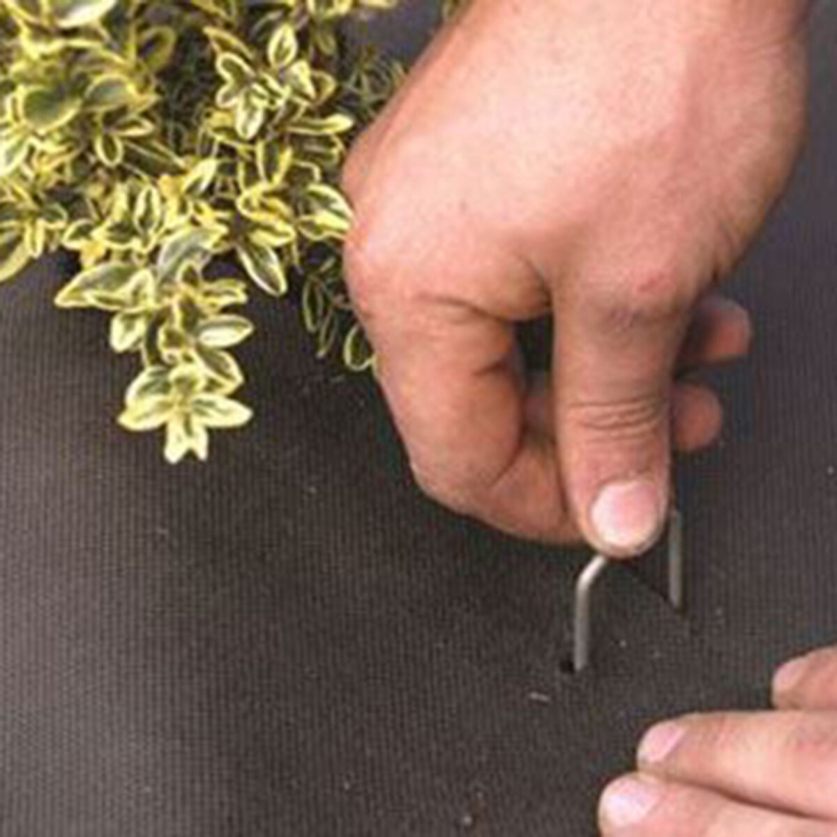 DeWitt 6in. Anchor Pins Flat Top 11 Guage 75/Bag | SiteOne US