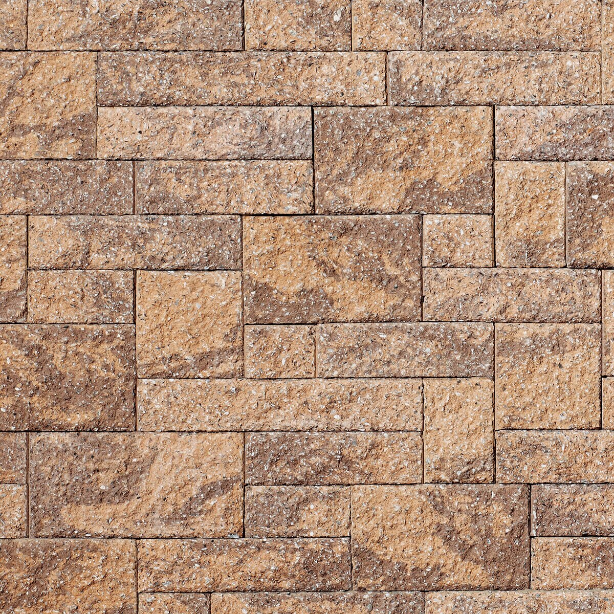 EP Henry Coventry III Wall Block Aged Double Sided Harvest Blend 3 in ...