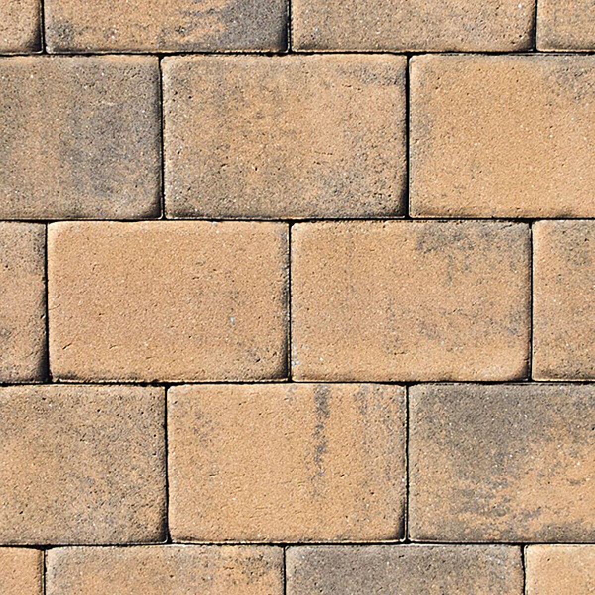EP Henry Imperial Cobble Stone Paver Earth 6 in. x 9 in. (124 sq. ft ...