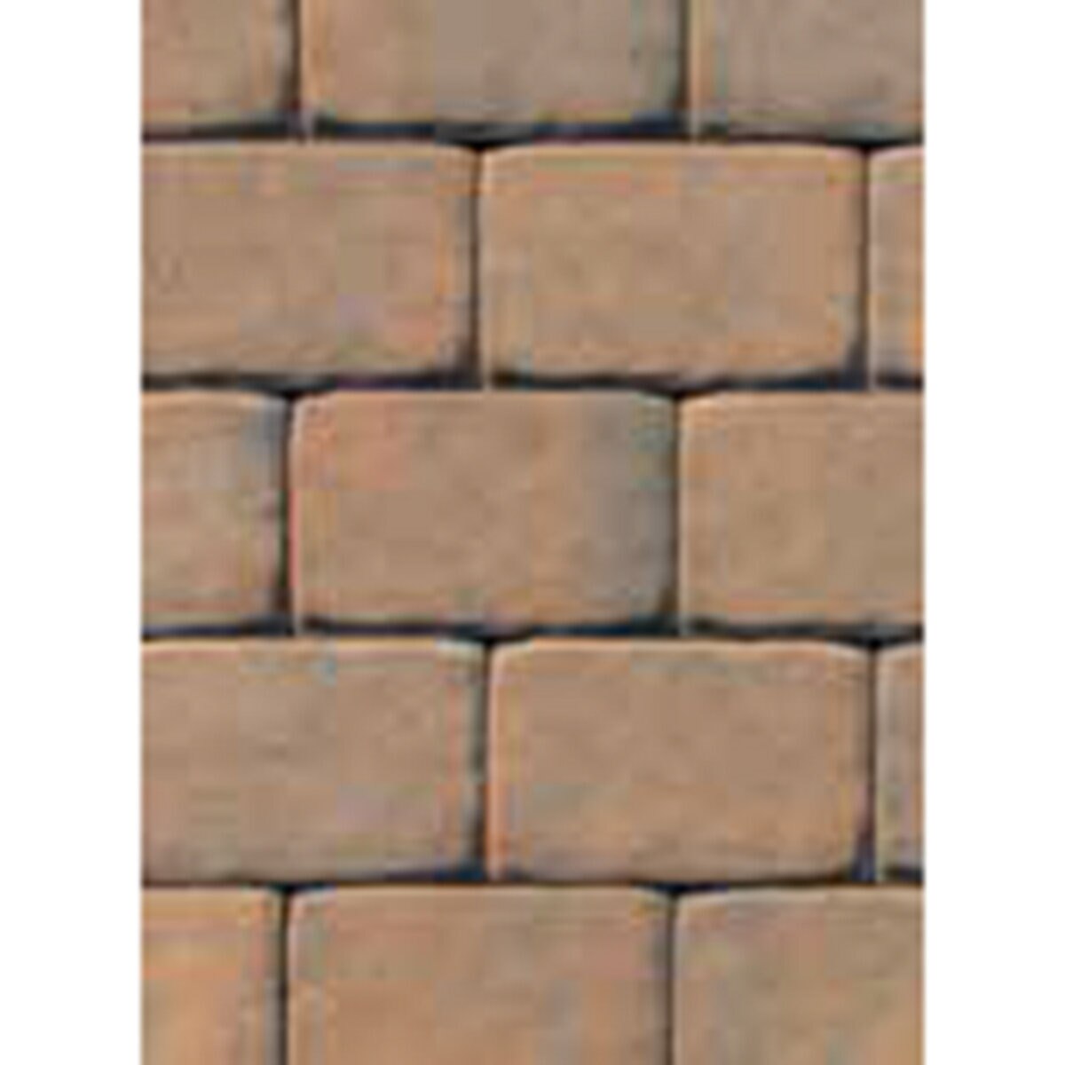 EP Henry Imperial Cobble Stone Paver Driftwood 6 in. x 9 in. (124 sq ...
