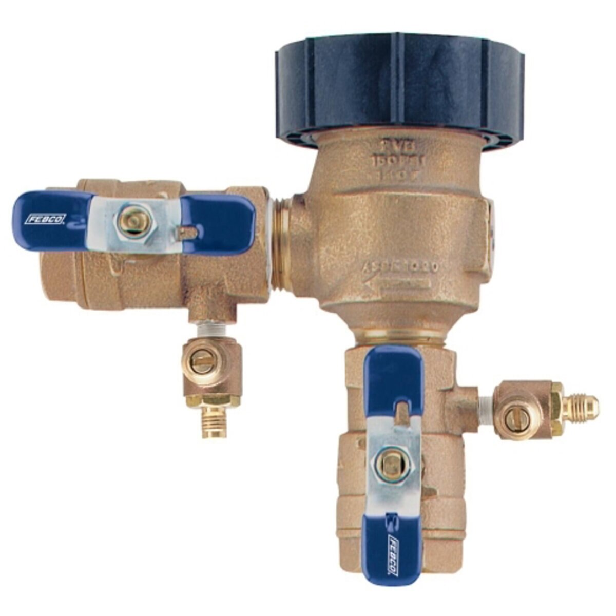 Febco LF767FR Freeze Resistant Pressure Vacuum Breaker 1 in. Lead Free ...