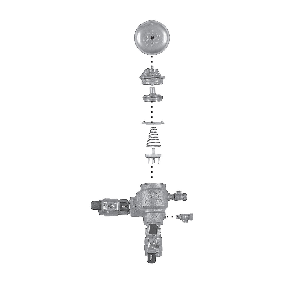 765 Canopy 1-1/2 - 2 Brass Febco | SiteOne US