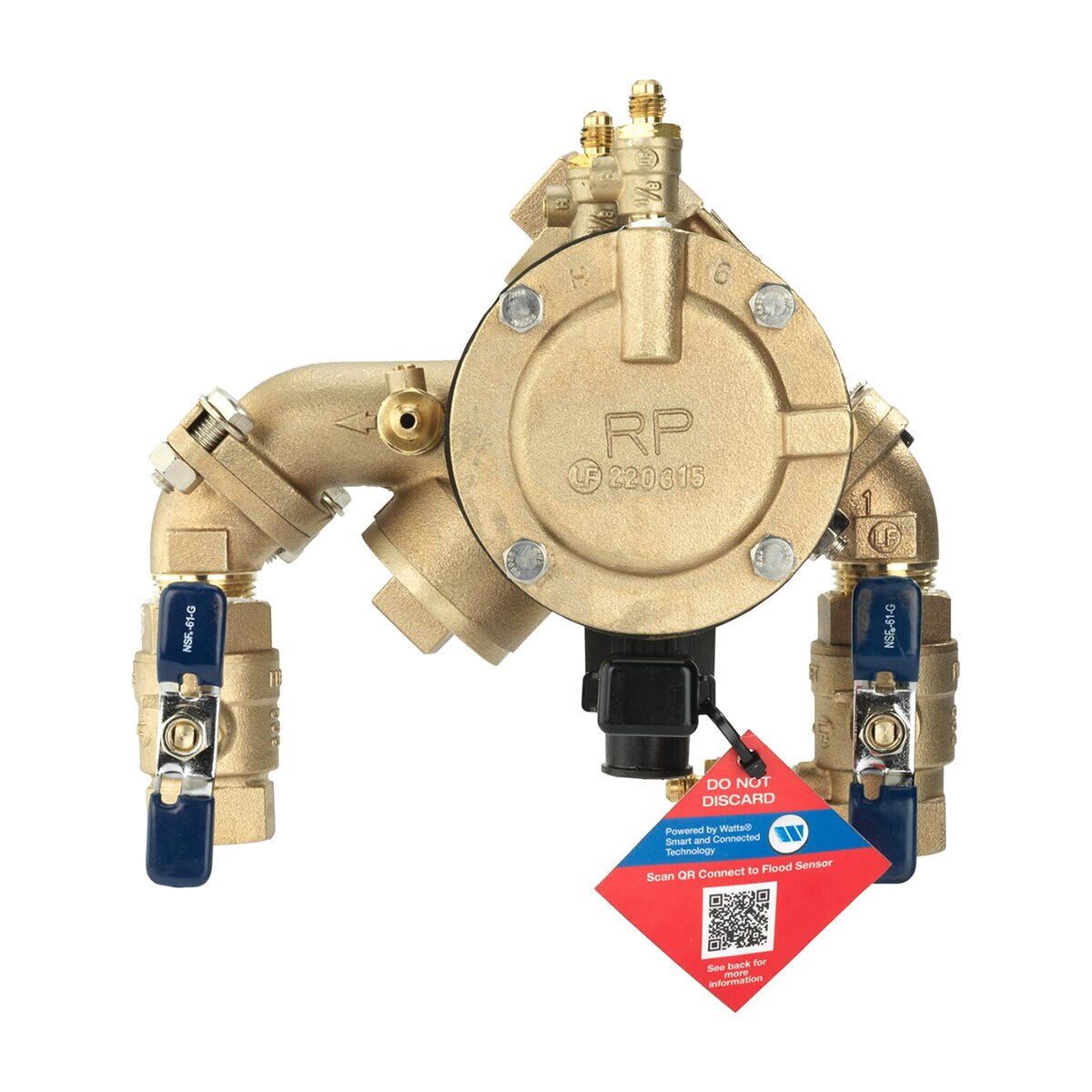 FEBCO 825YA Angle Pattern Reduced Pressure Zone Assembly w/ Ball Valves ...