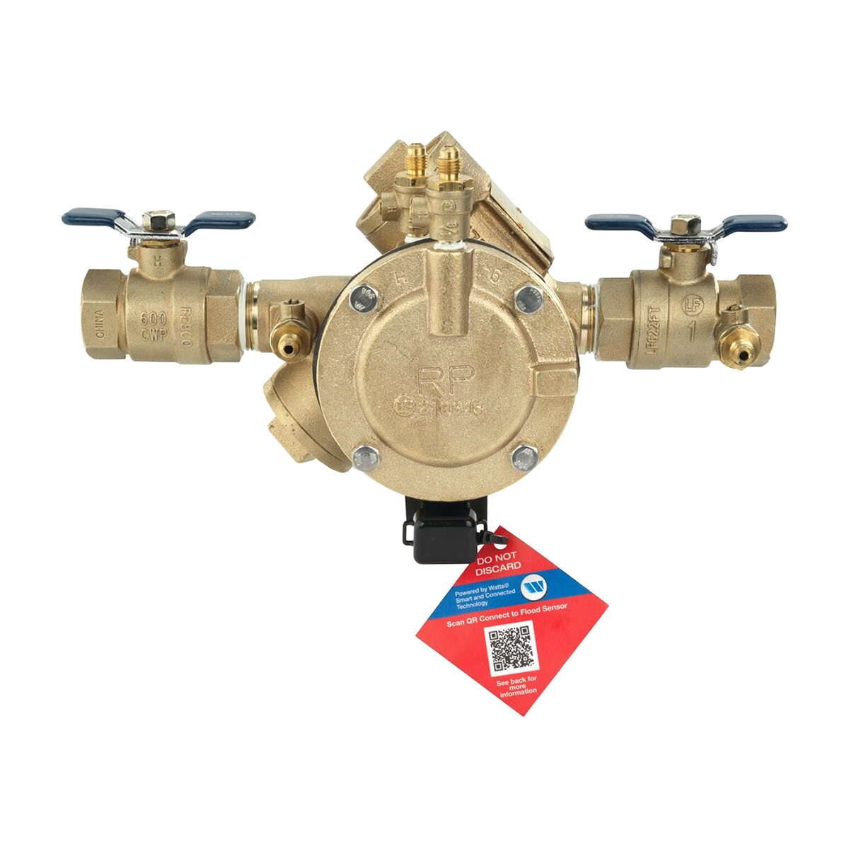 FEBCO 825Y Y-Pattern Reduced Pressure Zone Assembly w/ Ball Valves 1 in ...