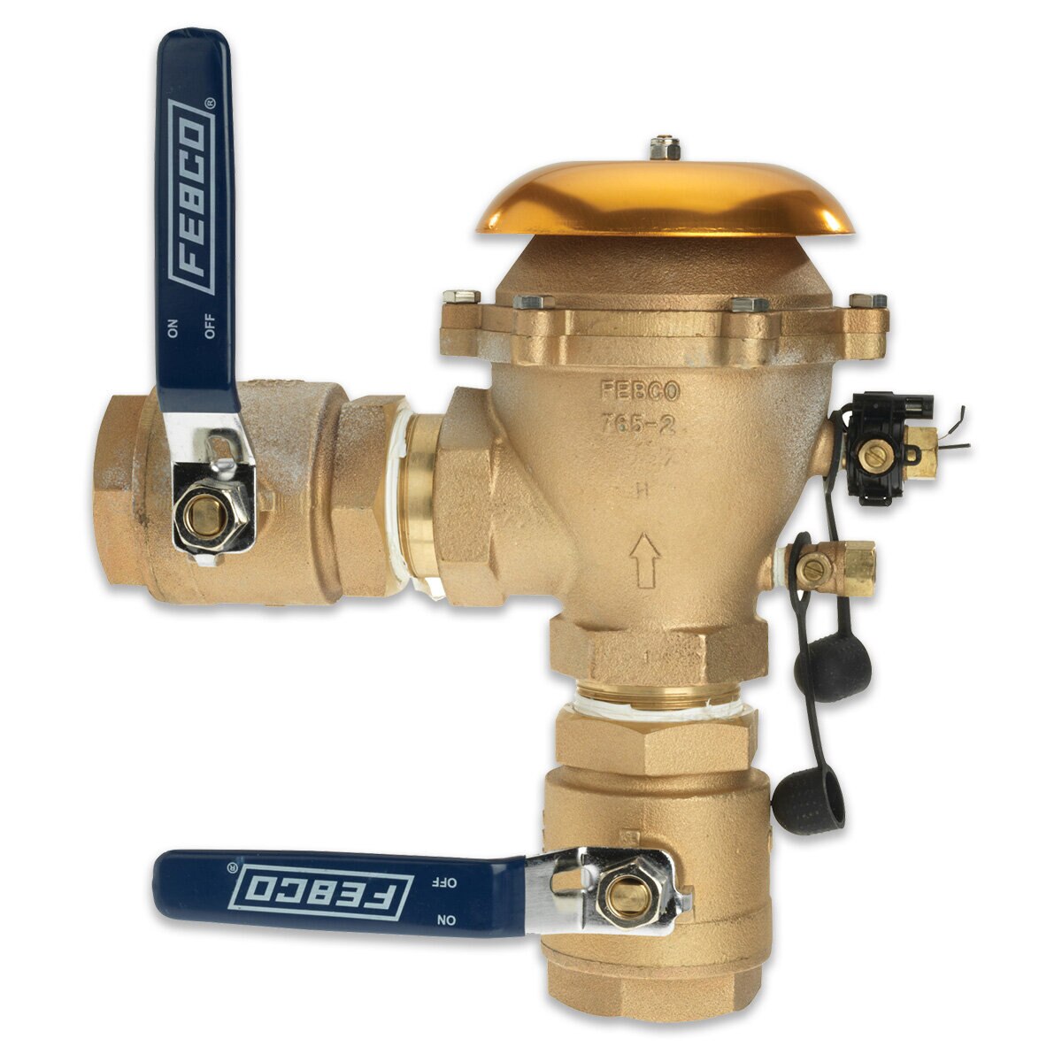 FEBCO 765 Pressure Vacuum Breaker w/ Ball Valves 2 in. Bronze w/ Freeze ...