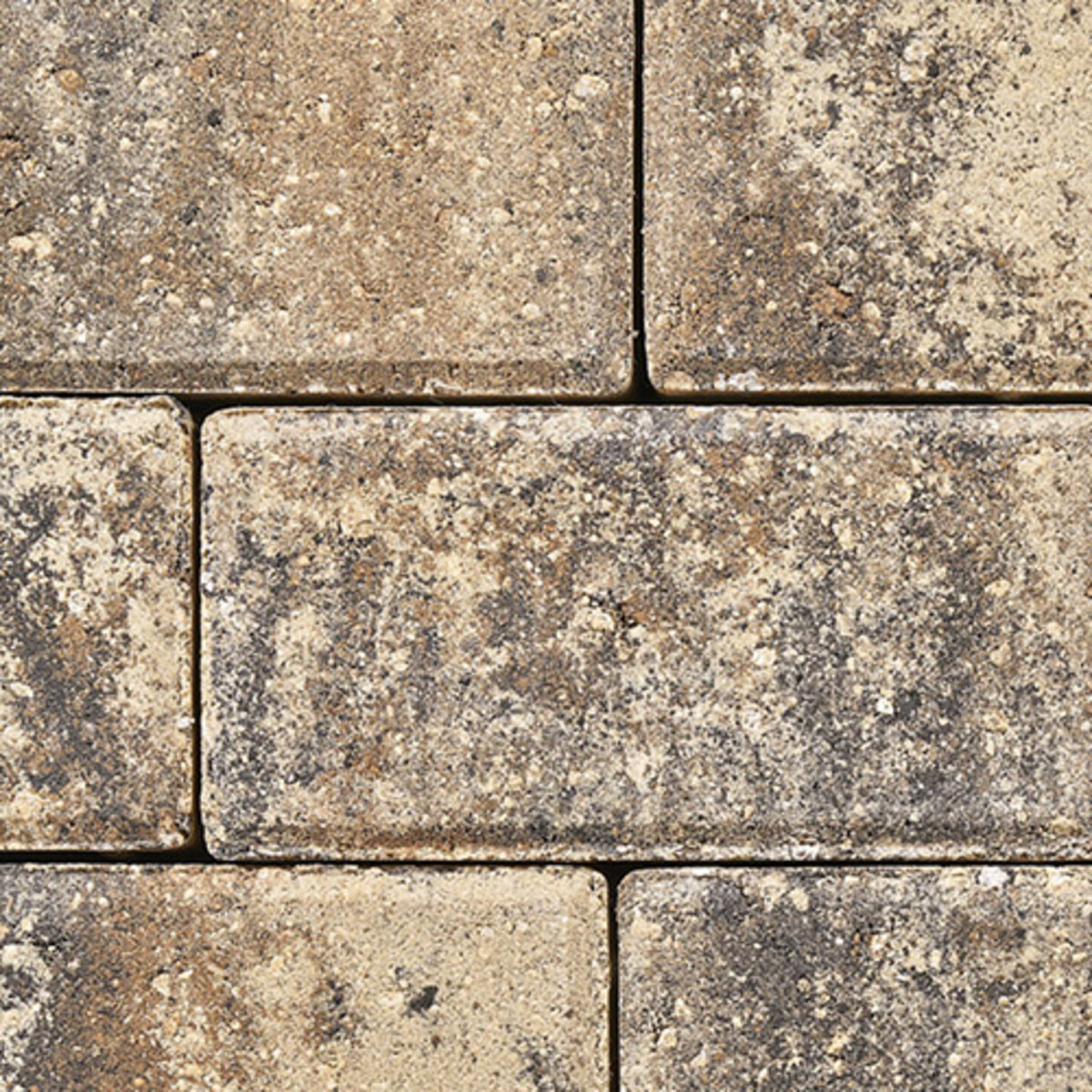 Flagstone Victory Paver 3 pc. Cream/Beige/Charcoal 60 mm (108 sq. ft ...