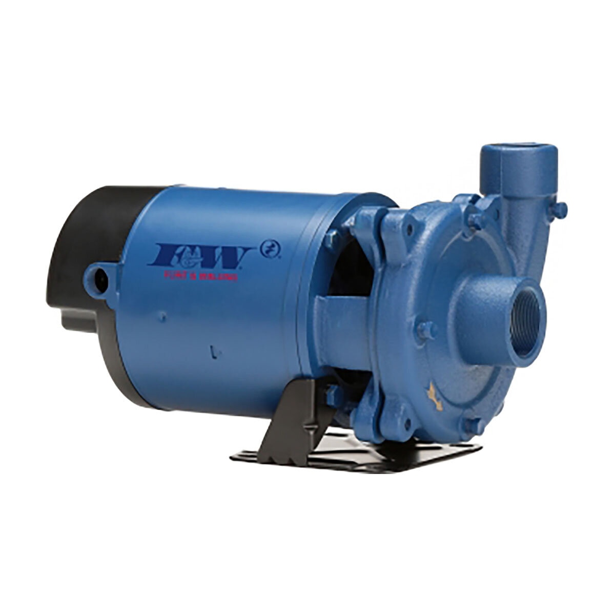 Flint & Walling Centrifugal Pump 3/4 HP | SiteOne US