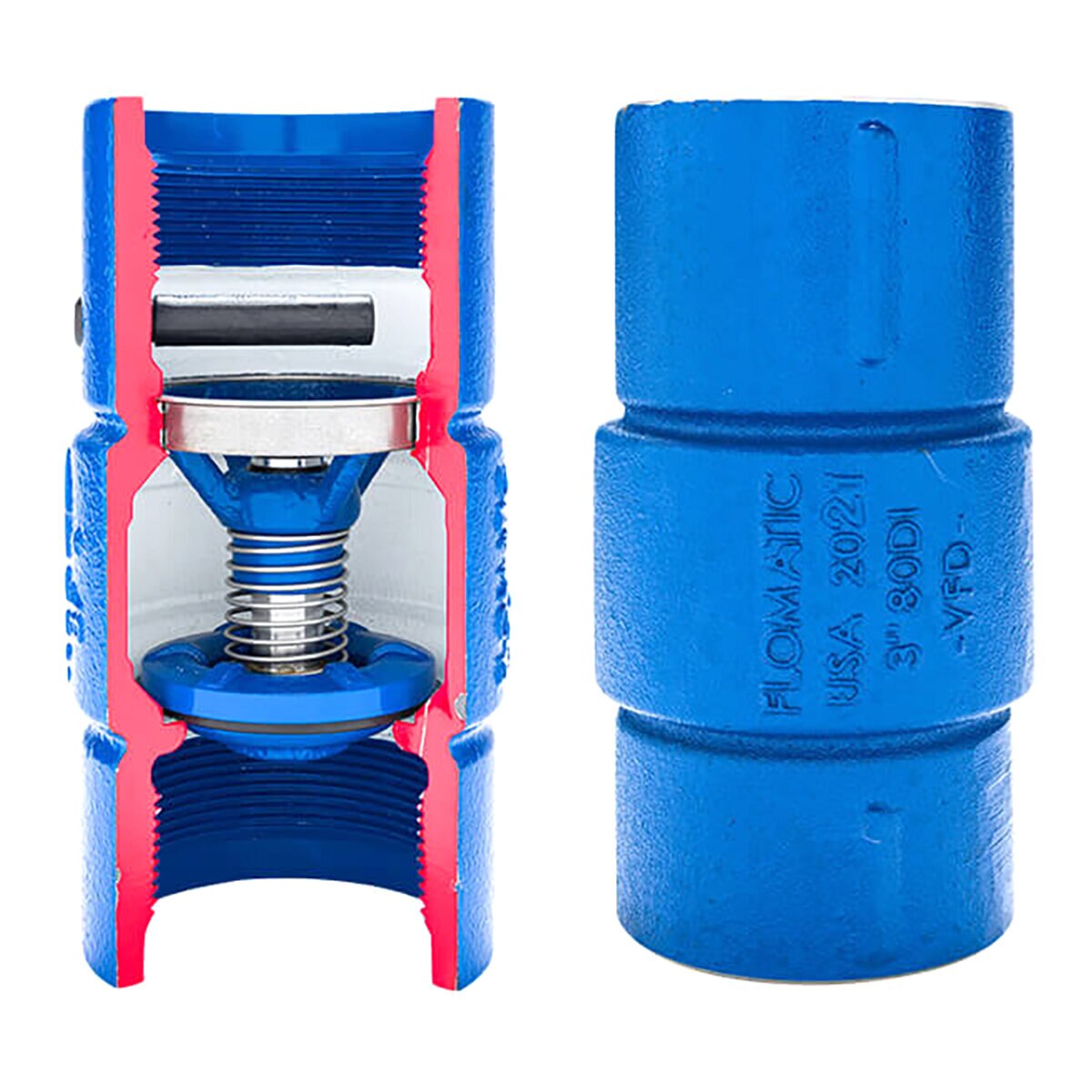 Flomatic 2 in. 80 DI-VFD IPS Check Valve with STST Trim Horizontal ...