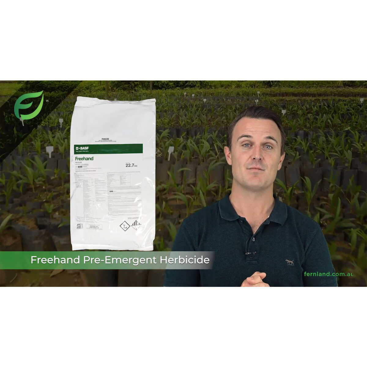 FreeHand Herbicide - Basf | Pre-Emergent Granular 1.75G | SiteOne