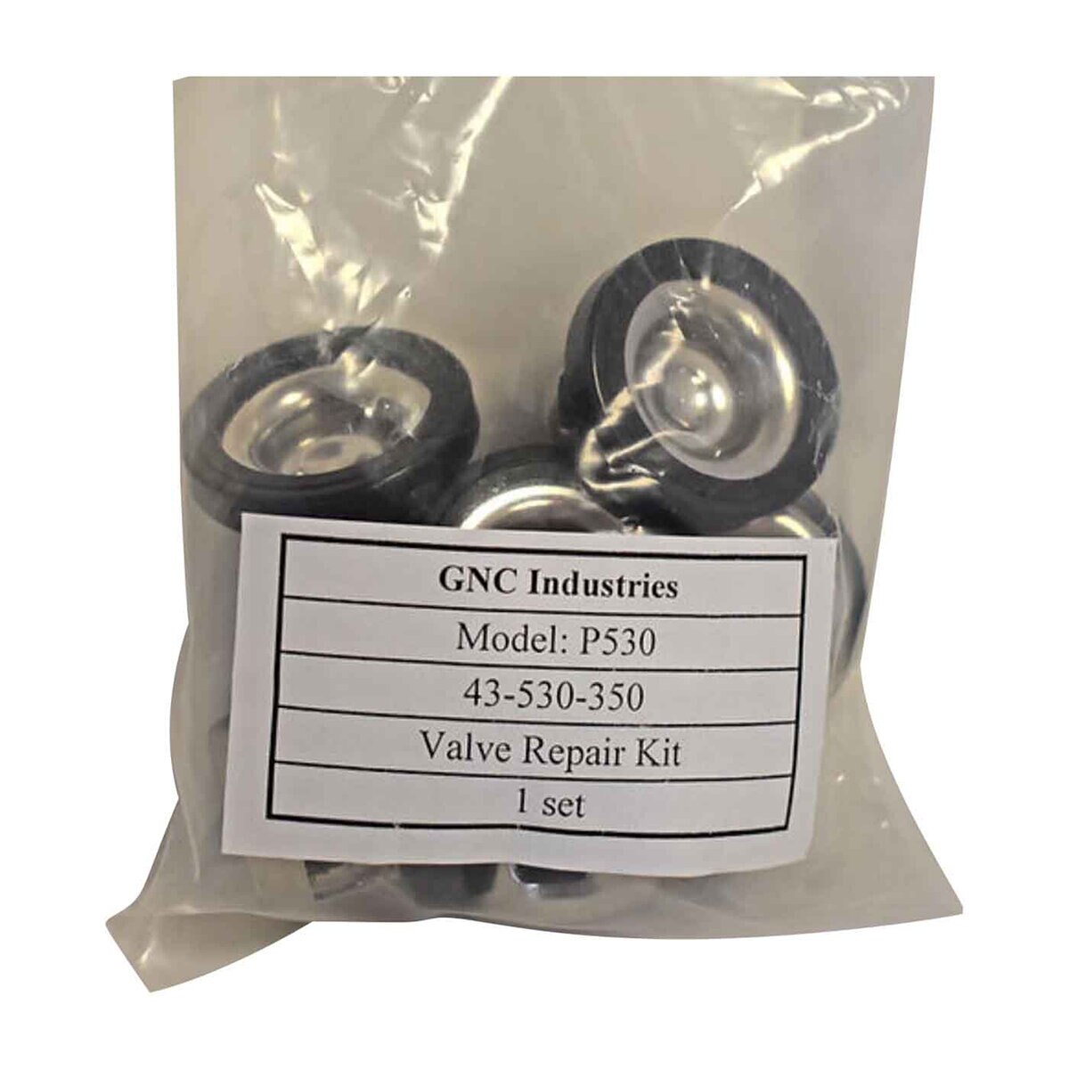 P530 Master Rebuild Kit | SiteOne US