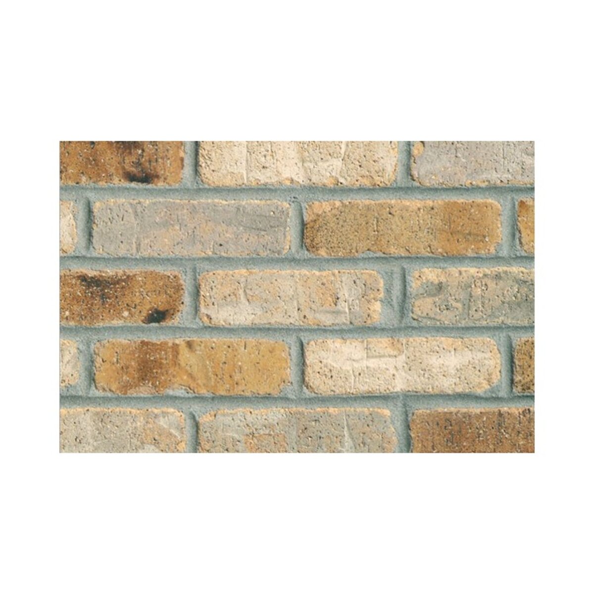 General Shale Modular Brick Cored Chesapeake 7-5/8 in. x 3-5/8 in. x 2 ...