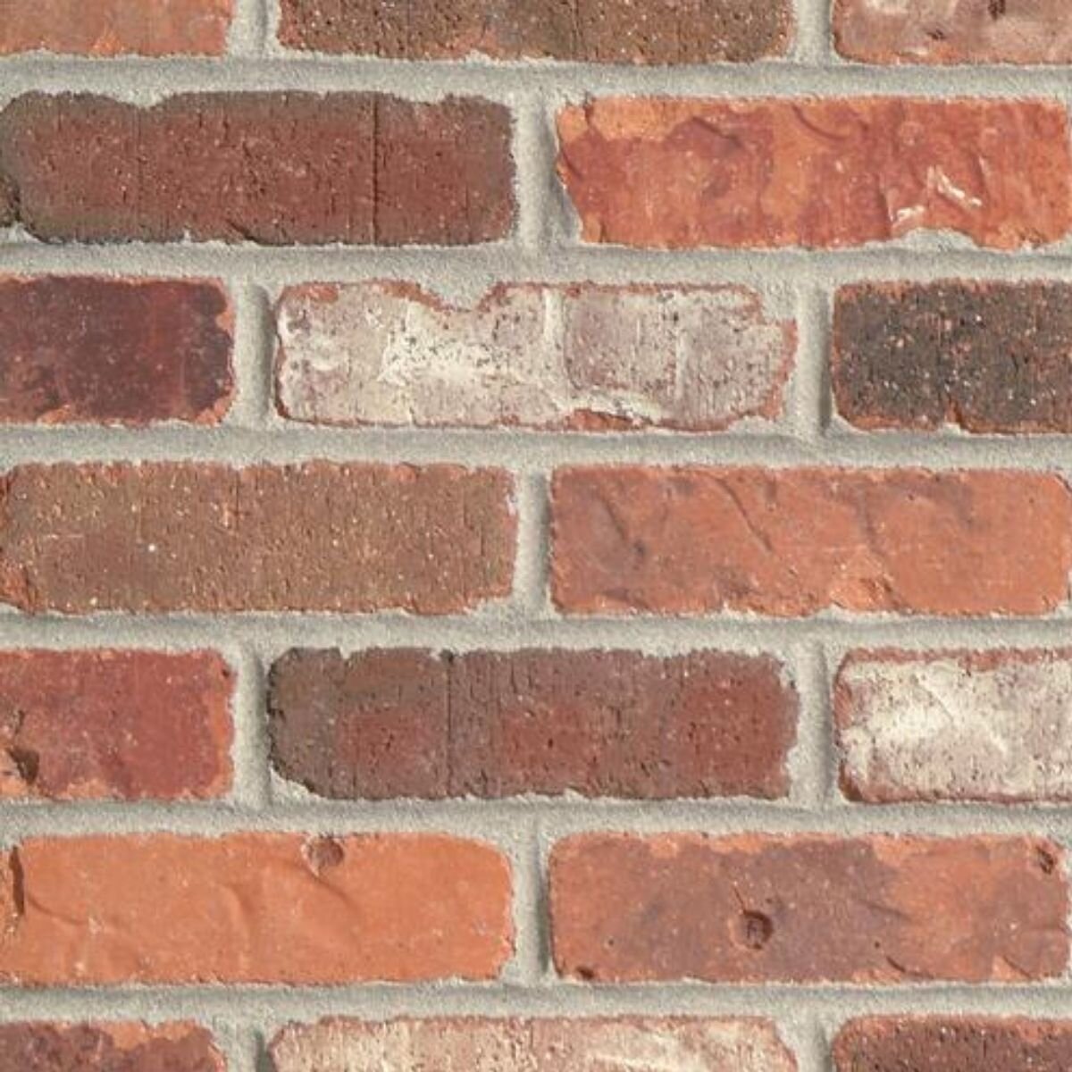 General Shale Modular Brick Cored Cambridge 7-5/8 in. x 3-5/8 in. x 2-1 ...