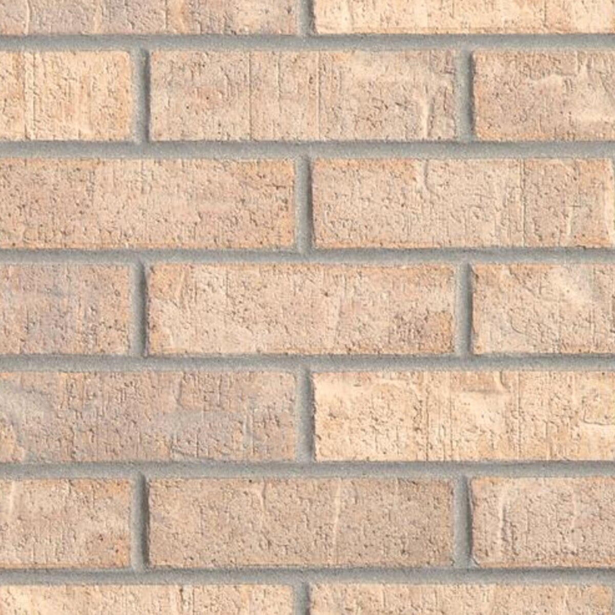 General Shale Dover Gray Cord | SiteOne US