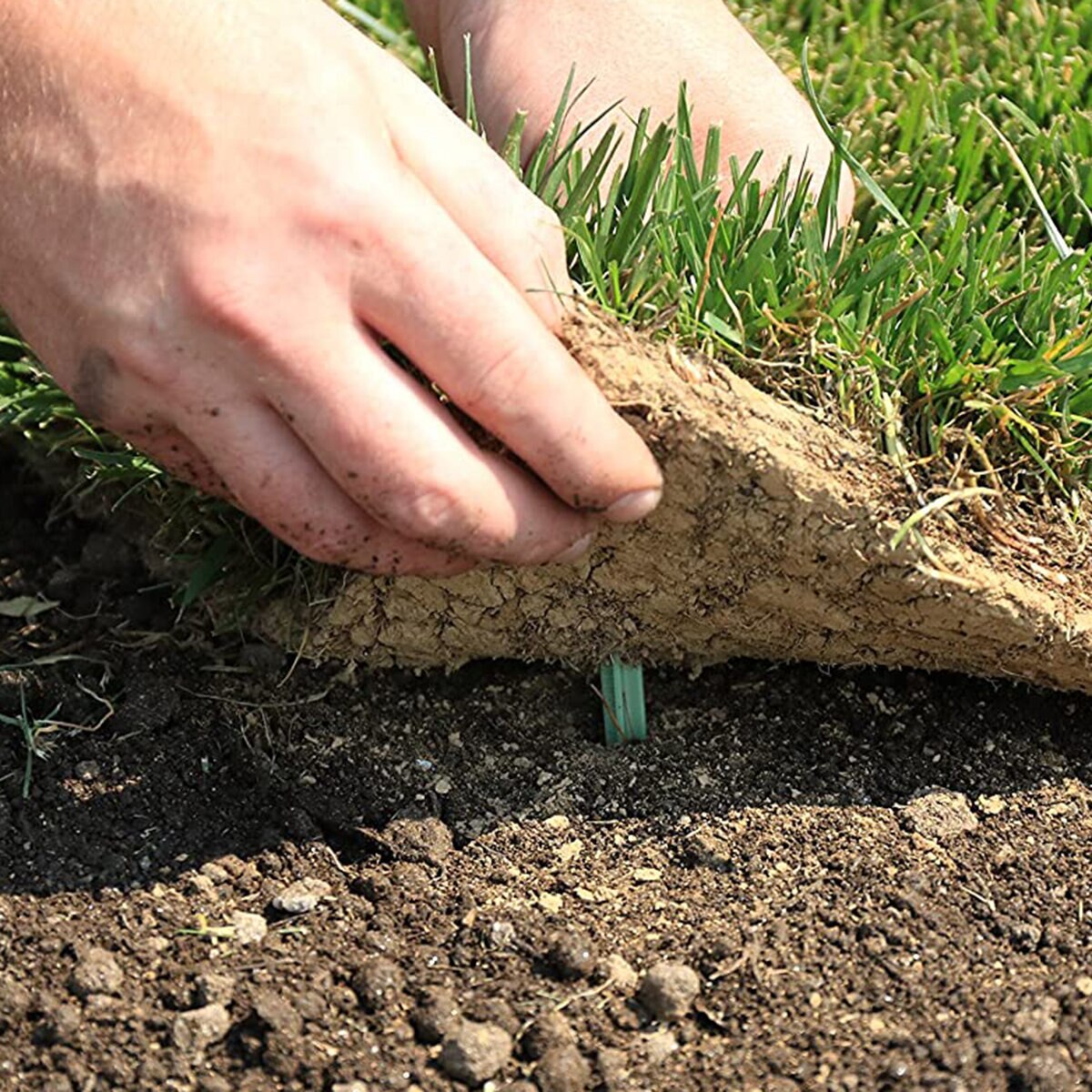 MKB GreenStake Biodegradable Stake 4 in. (500/box) | SiteOne US