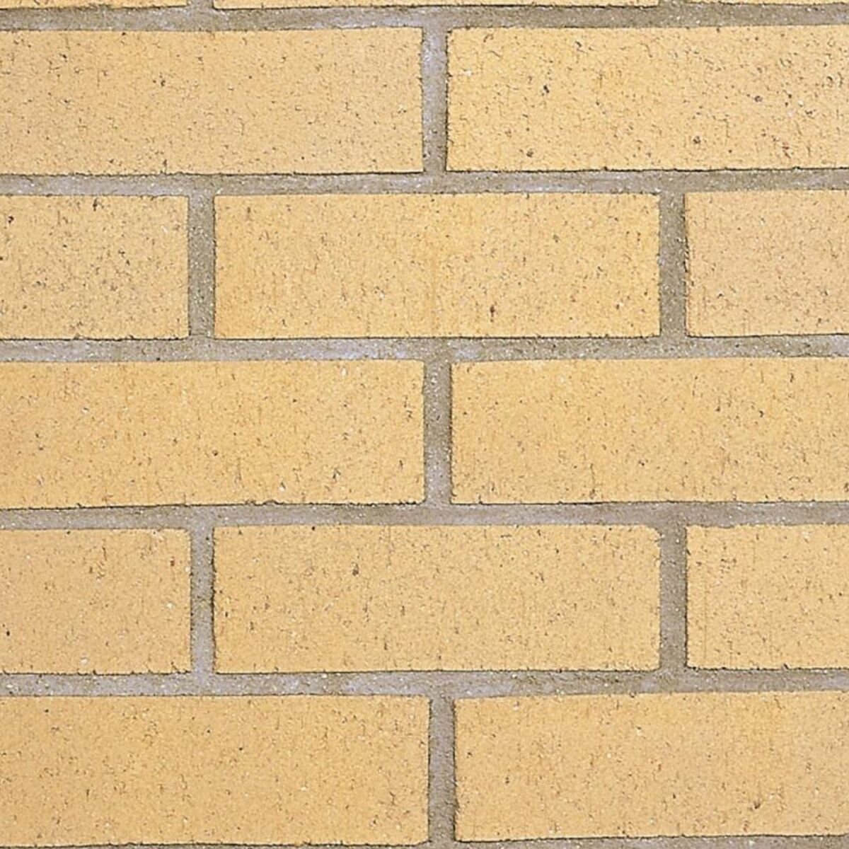 H.C. Muddox Firebrick Full Brick Gold 4-1/2 in. x 2-1/2 in. x 9 in ...