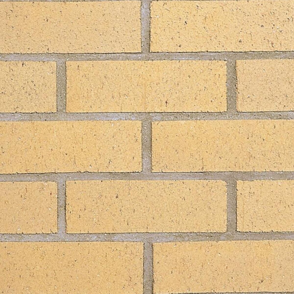H.C. Muddox Firebrick Split Brick Gold 4-1/2 in. x 1-1/ | SiteOne