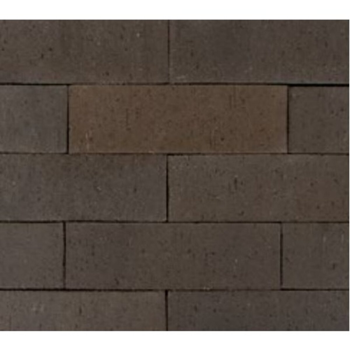 H.C. Muddox Thin Brick Sierra Slate Wire Cut Lintel 1/2 in. X 2 - 1/2 ...