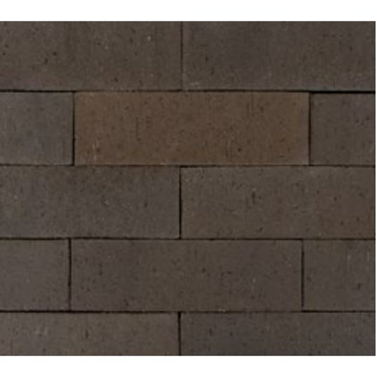 H.C. Muddox Thin Brick Sierra Slate Wire Cut Corner 1/2 in. X 2 - 1/2 ...